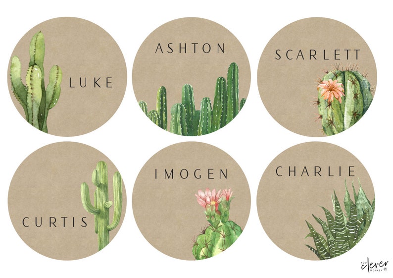 CACTUS Classroom Door Bulletin Board Display Pack - Etsy