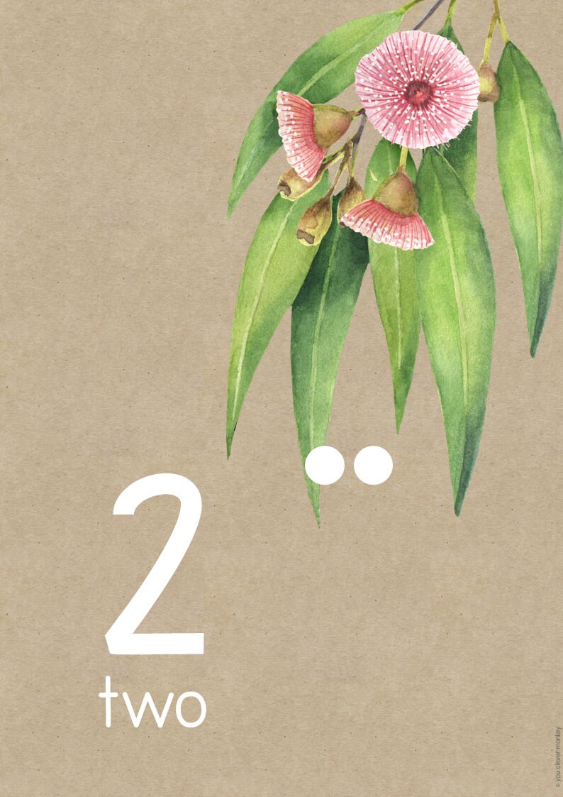 GUM LEAF Number Posters Eucalyptus Class Theme - Etsy