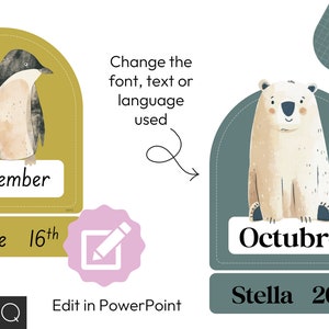 Wild Animal Zoo Theme Editable Class Birthday Bulletin Board Display ...