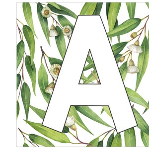 GUM LEAF Bulletin Board Lettering Pack - Etsy Canada