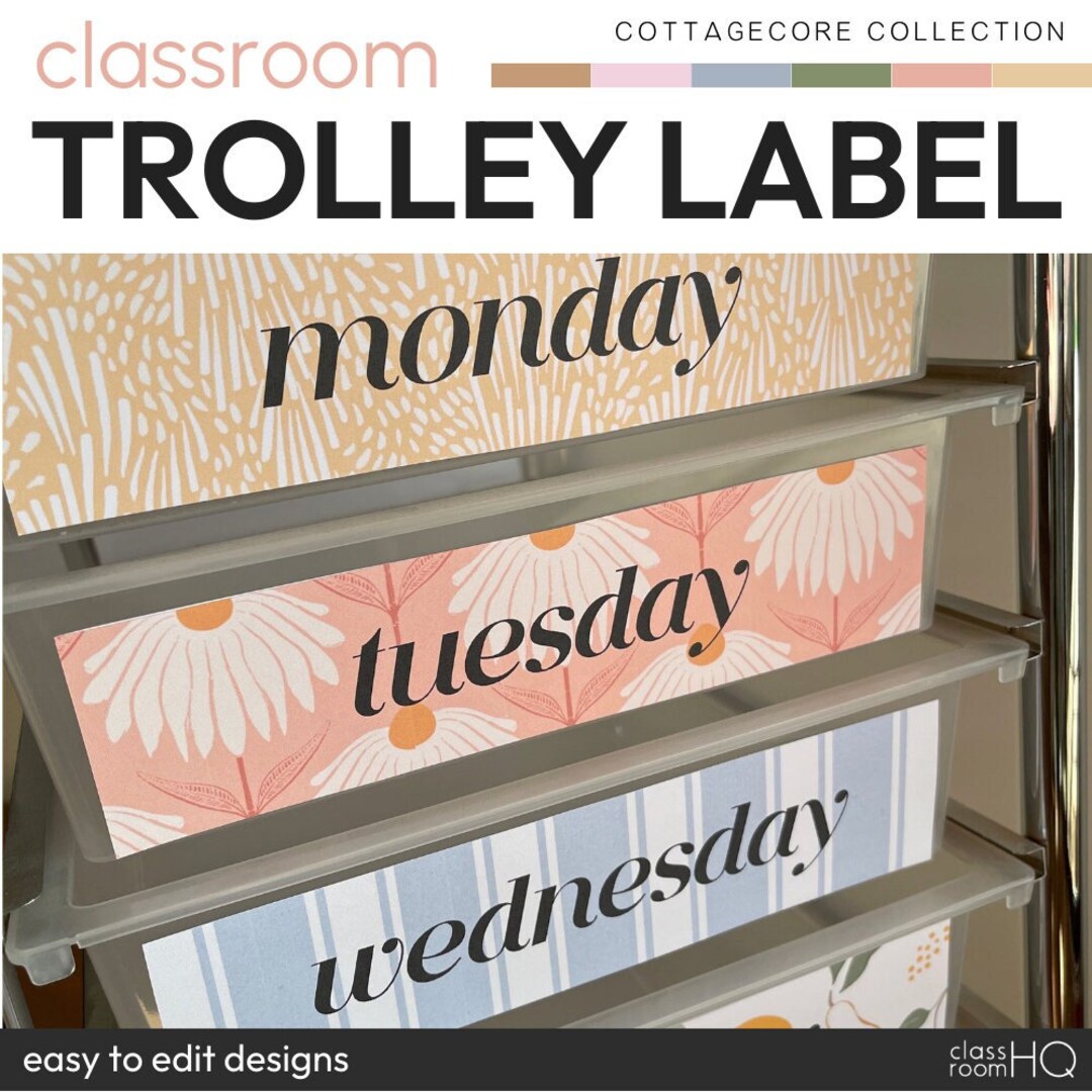 Vintage Cozy Natural Theme Classroom Decor 10 Drawer Teacher Rolling ...