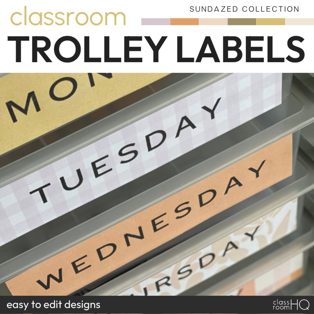 Groovy Vintage Retro Class Decor Teacher Trolley 10-drawer Labels ...