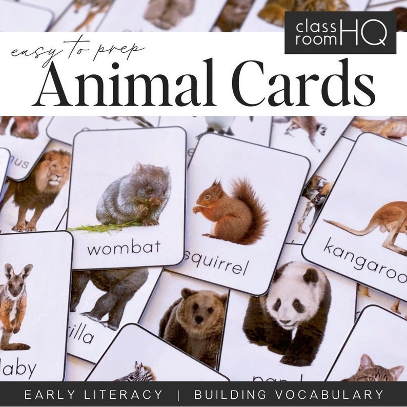 Animal Photo Picture Flashcards - Etsy