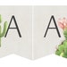 CACTUS Classroom Bunting Pack - Etsy
