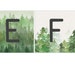 Woodland Forest Theme Classroom Decor Editable Word Wall Pack | INTO ...