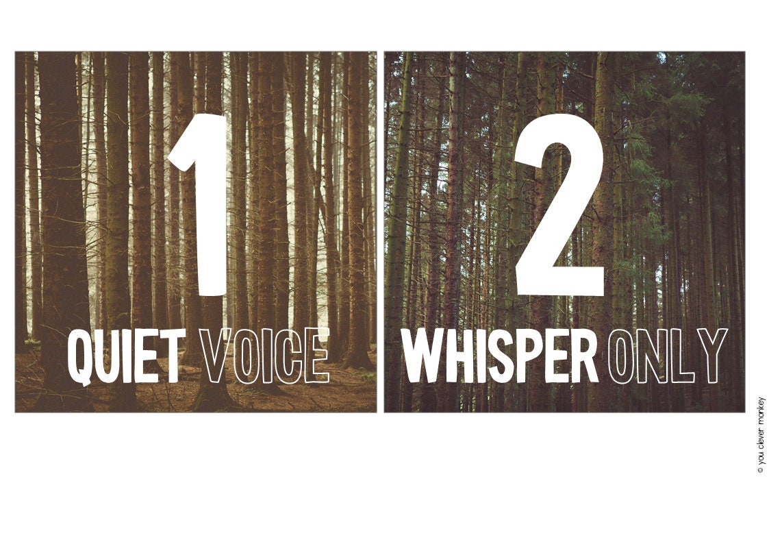 Woodland Forest INTO THE WOODS Classroom Labels Signs Pack | Etsy