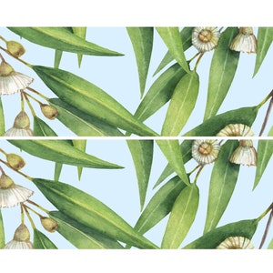 Classroom Bulletin Board Borders | Eucalyptus GUM LEAF Classroom Decor ...