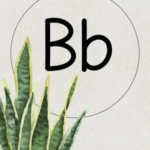 Cactus Classroom Theme Calm Classroom Decor Editable Alphabet Posters ...