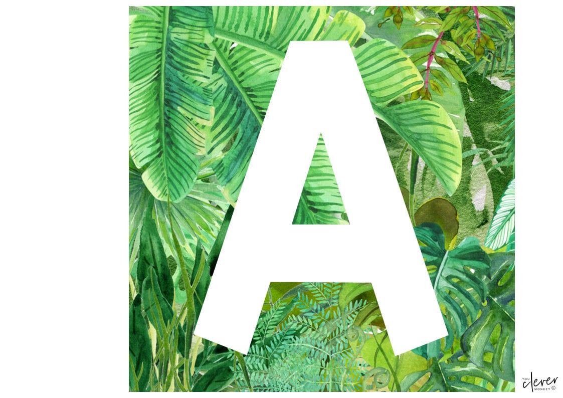 Modern Tropical Bulletin Board Letters Editable Lettering Pack TROPICAL ...