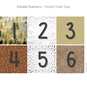 Classroom Calendar Bulletin Board Editable Woodland Calendar Set ...