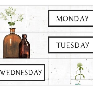 Botanical Greenery Theme Classroom Decor Editable Teacher Trolley 10 ...