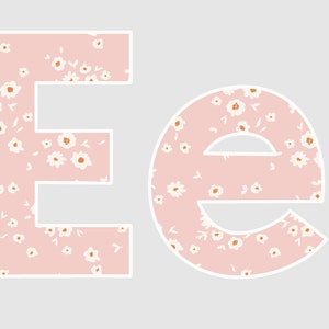 Retro Theme Vintage Rainbow Bulletin Board Letters Editable Lettering ...