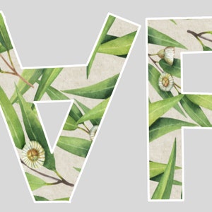 Australian Eucalyptus Class Theme Editable Class Door Decor + Bulletin ...