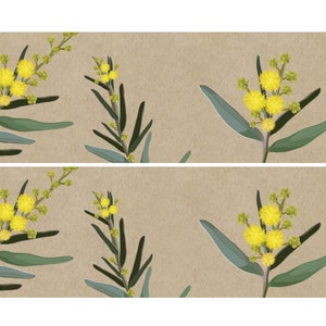 Classroom Bulletin Board Borders | AUSSIE FLORA Classroom Decor - Etsy ...