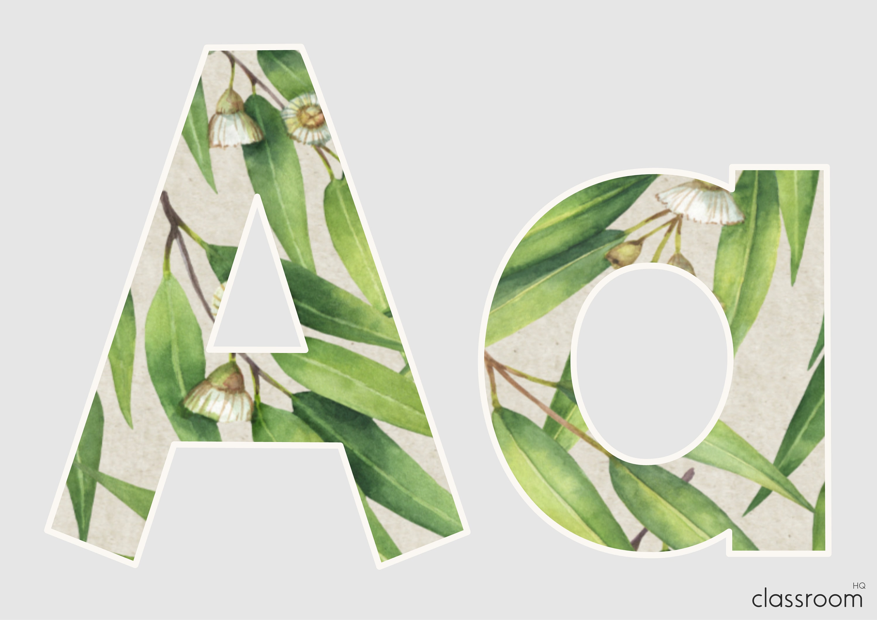 Eucalyptus Bulletin Board Letters Editable Lettering Pack GUM LEAF ...