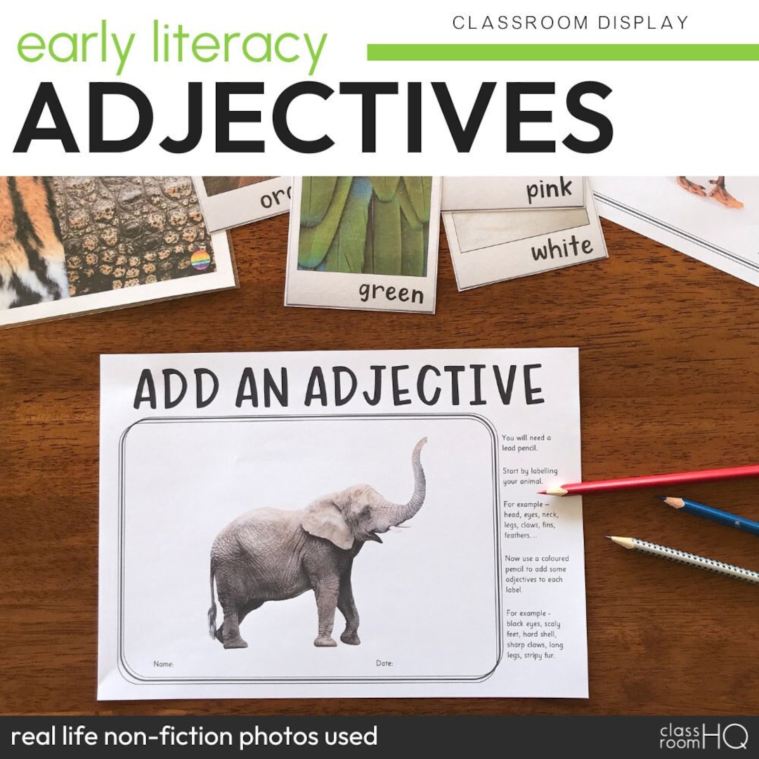 Add an Adjective Writing Task | Non Fiction Informational Text - Etsy