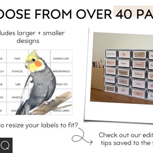 MODERN AUSSIE Teacher Toolbox Labels | Australian Themed Classroom ...