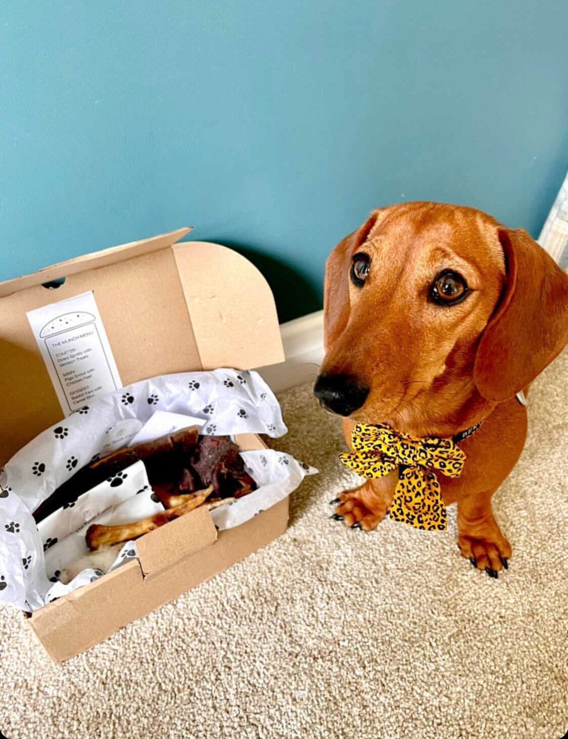 Natural Dog Treat Munch Box Free UK Delivery Rabbit Ears | Etsy