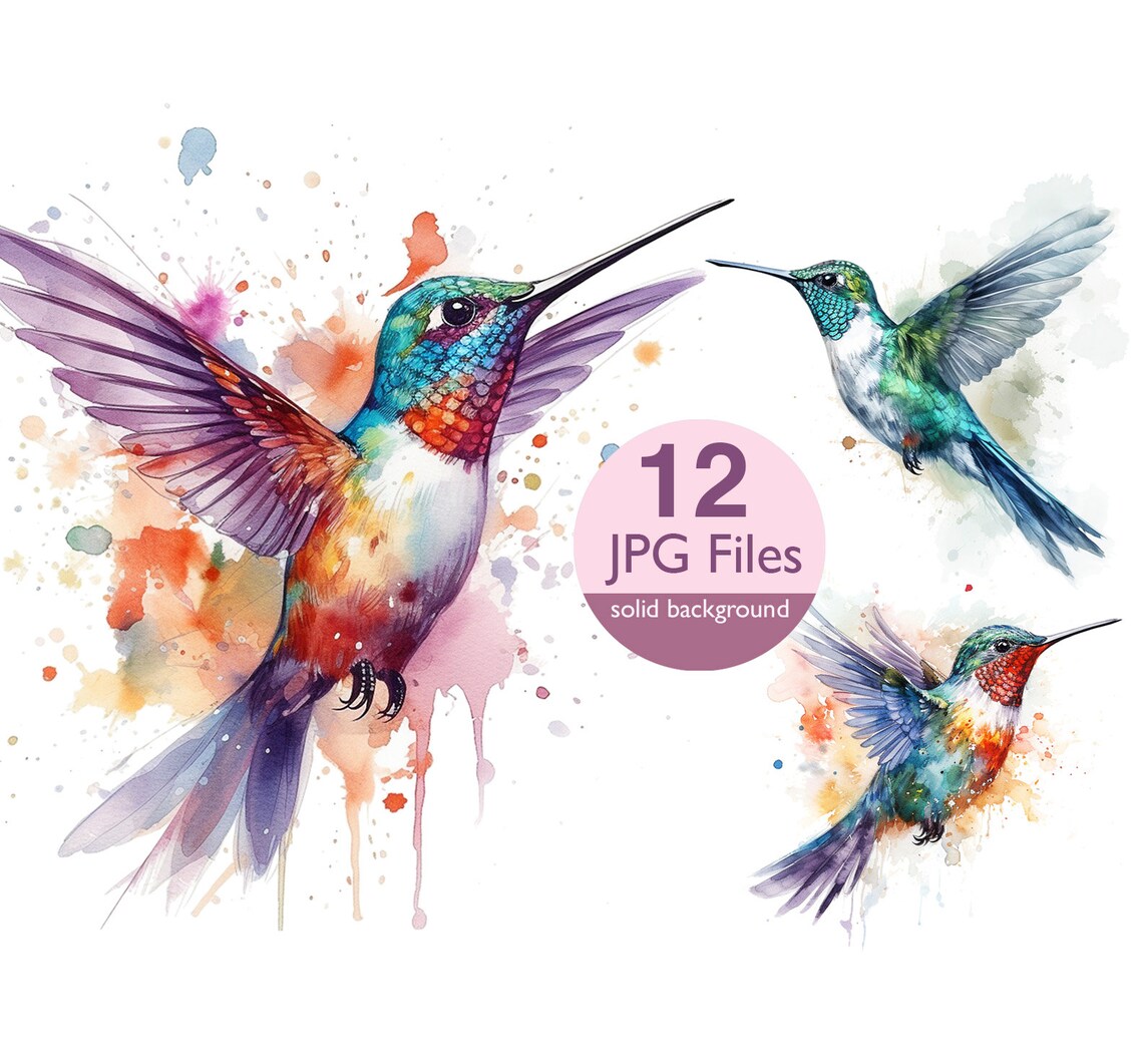 Hummingbird Clip Art JPG Watercolor Hummingbirds Clipart - Etsy