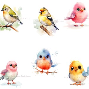 Cute Birds Clip Art, JPG Watercolor Birds Clipart, Paper Crafts ...