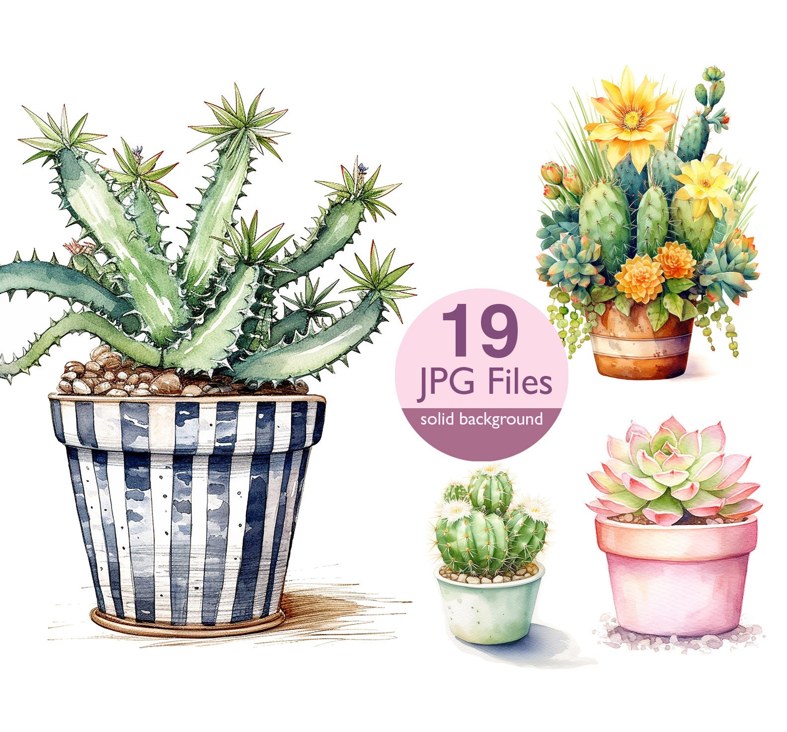 Watercolor Cactus Clip Art JPG Cacti Clipart House Plant - Etsy