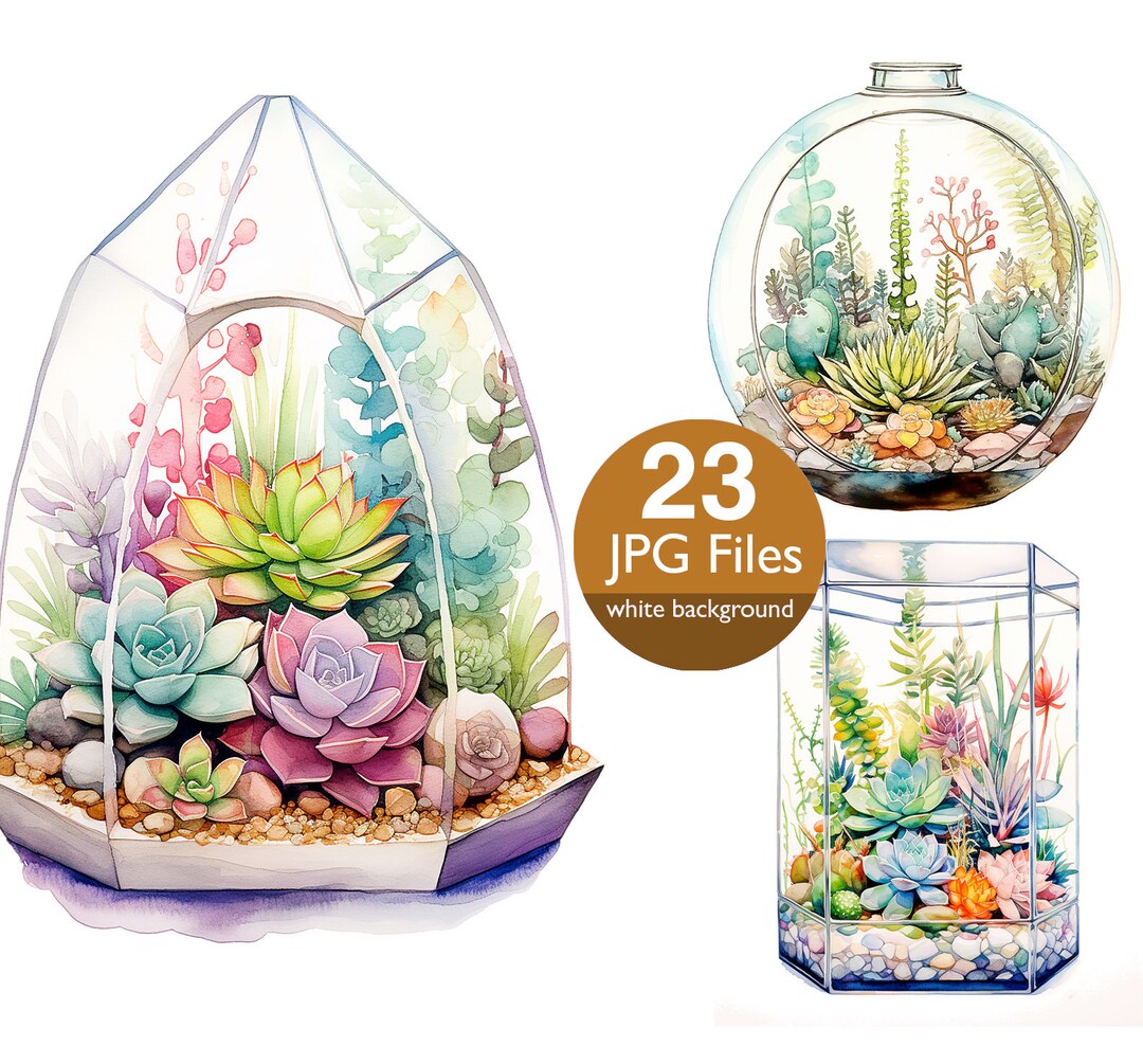 Terrarium Clip Art, JPG Botanical Watercolor Clipart, Succulent for ...