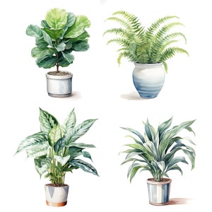 Indoor Plants Clip Art, JPG House Plant Watercolor Clipart, Greenery ...
