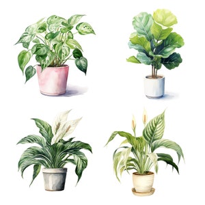 Indoor Plants Clip Art, JPG House Plant Watercolor Clipart, Greenery ...