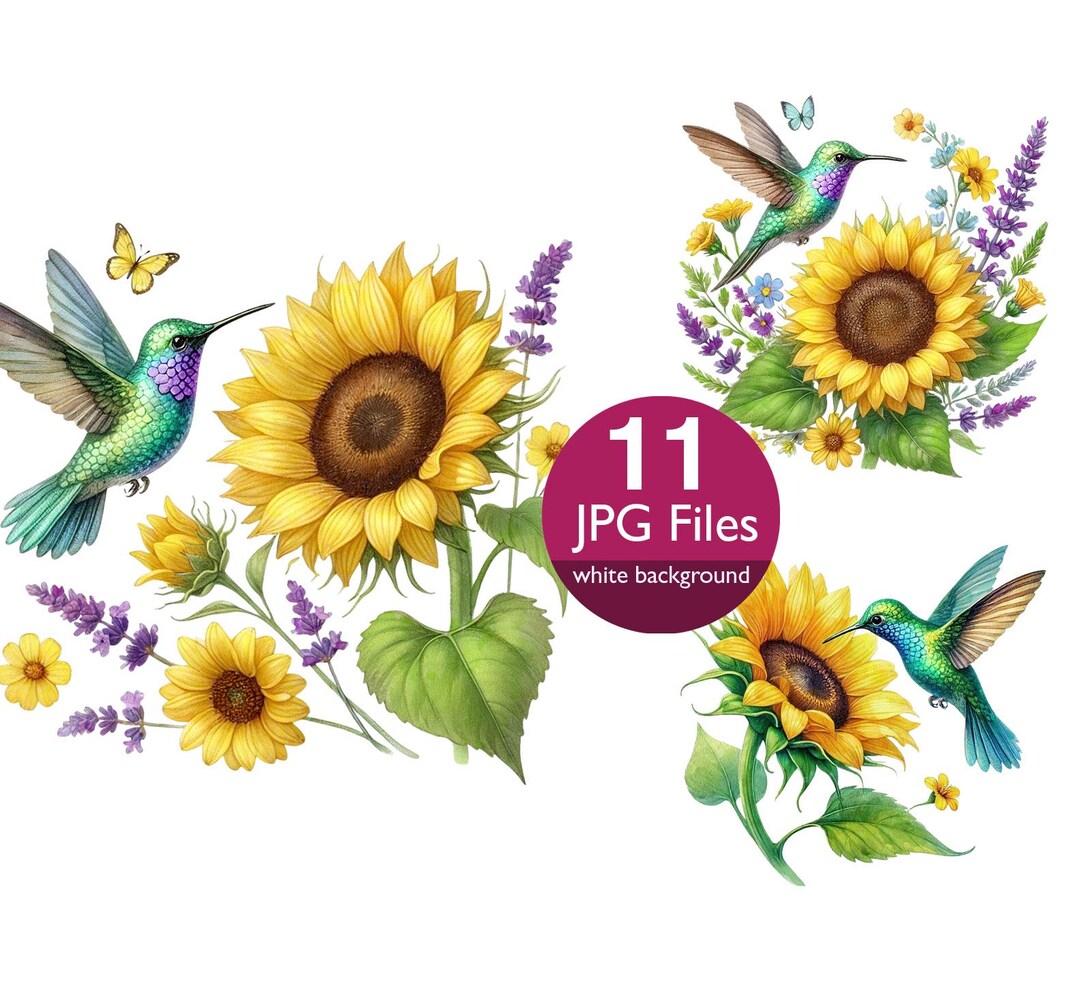 Sunflower and Hummingbird Clip Art, JPG Watercolor Floral Hummingbirds ...
