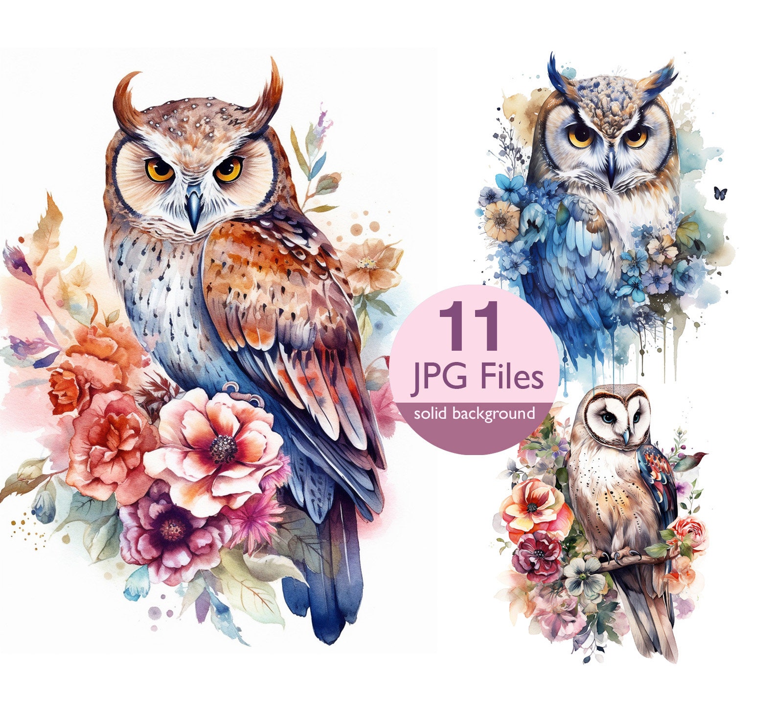 Watercolor Floral Owl Clipart: 11 JPG Files for Scrapbooking (digital ...