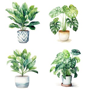 Indoor Plants Clip Art, JPG House Plant Watercolor Clipart, Greenery ...