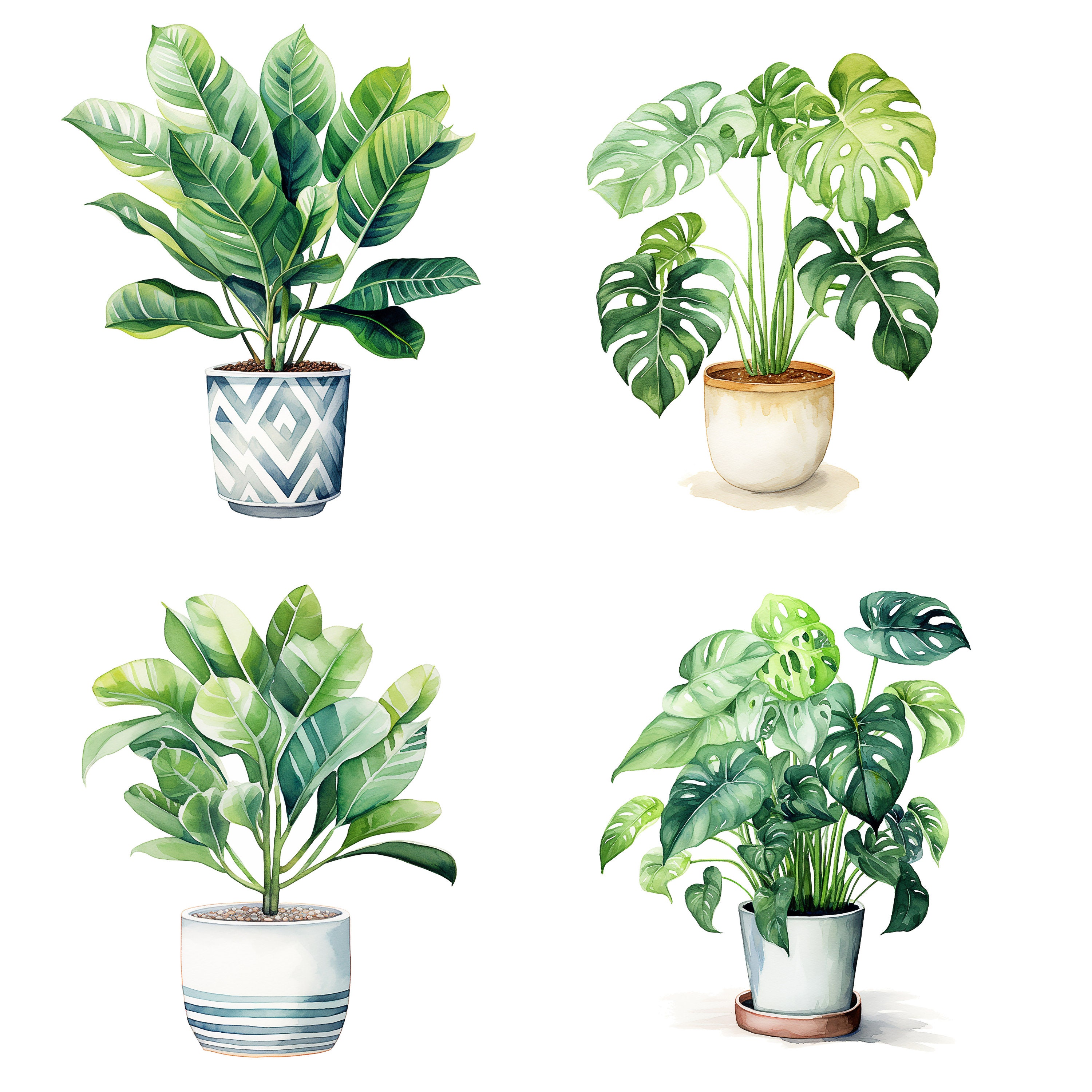 Indoor Plants Clip Art JPG House Plant Watercolor Clipart - Etsy