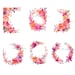 Floral Frames Clip Art: Orange & Pink Flower Borders (PNG, JPG) - Etsy