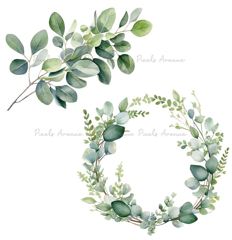 Eucalyptus Leaves Clip Art Png Frames And Borders Clipart Etsy Australia