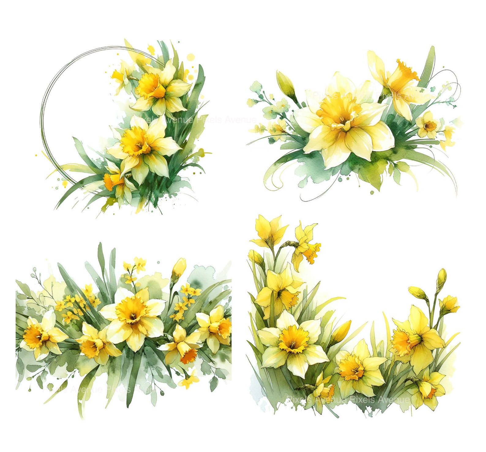 Daffodil Watercolor Clipart: Yellow Flower Frames (JPG) - Etsy