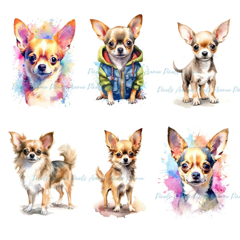 Chihuahua Clip Art JPG Puppy Watercolor Puppies Clipart Dog - Etsy