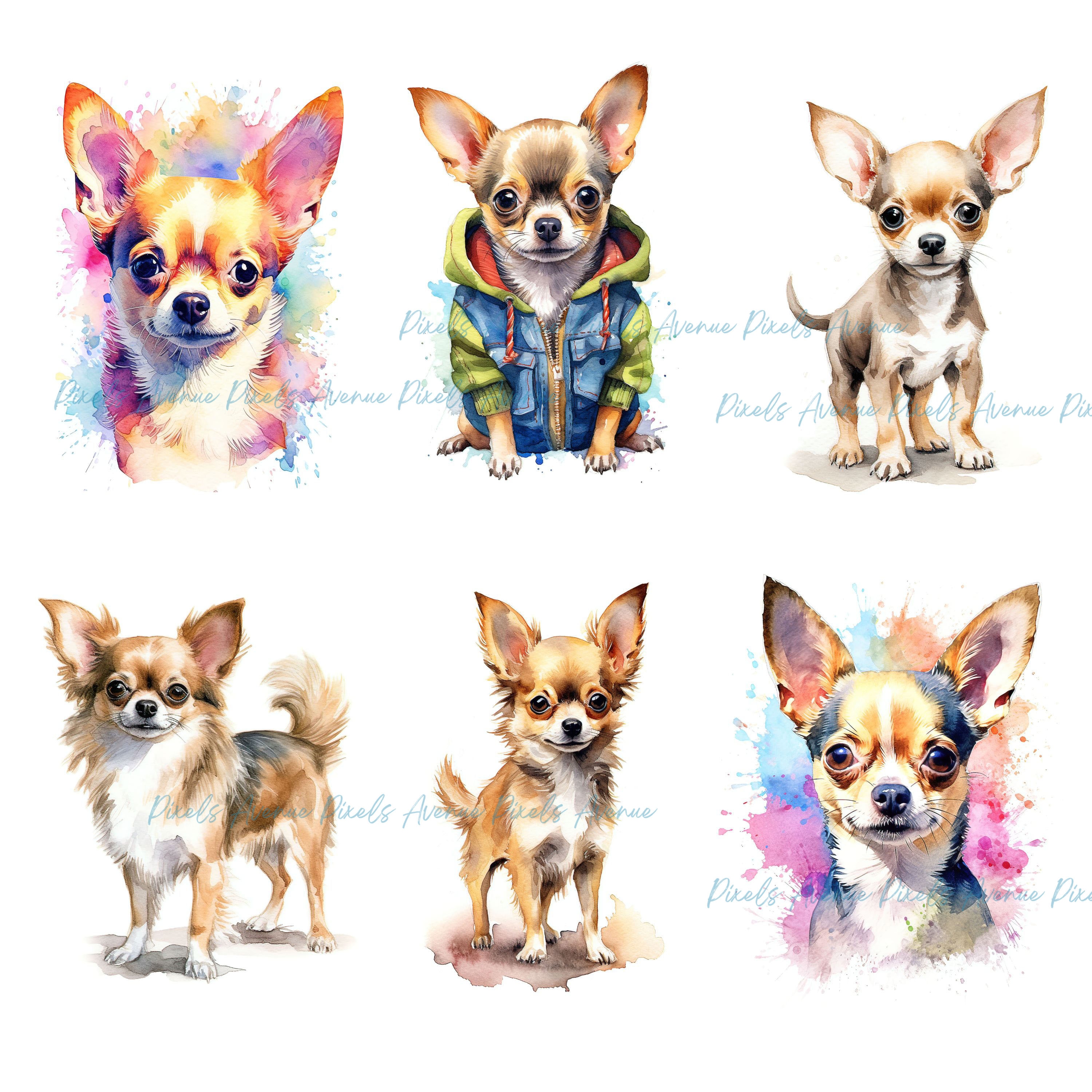 Chihuahua Clip Art JPG Puppy Watercolor Puppies Clipart Dog - Etsy