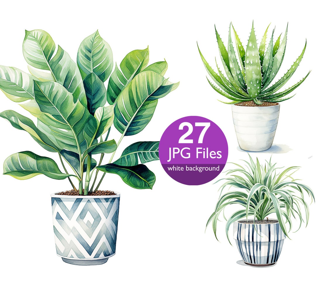 Indoor Plants Clip Art, JPG House Plant Watercolor Clipart, Greenery ...
