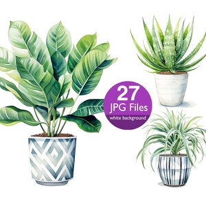 Indoor Plants Clip Art, JPG House Plant Watercolor Clipart, Greenery ...