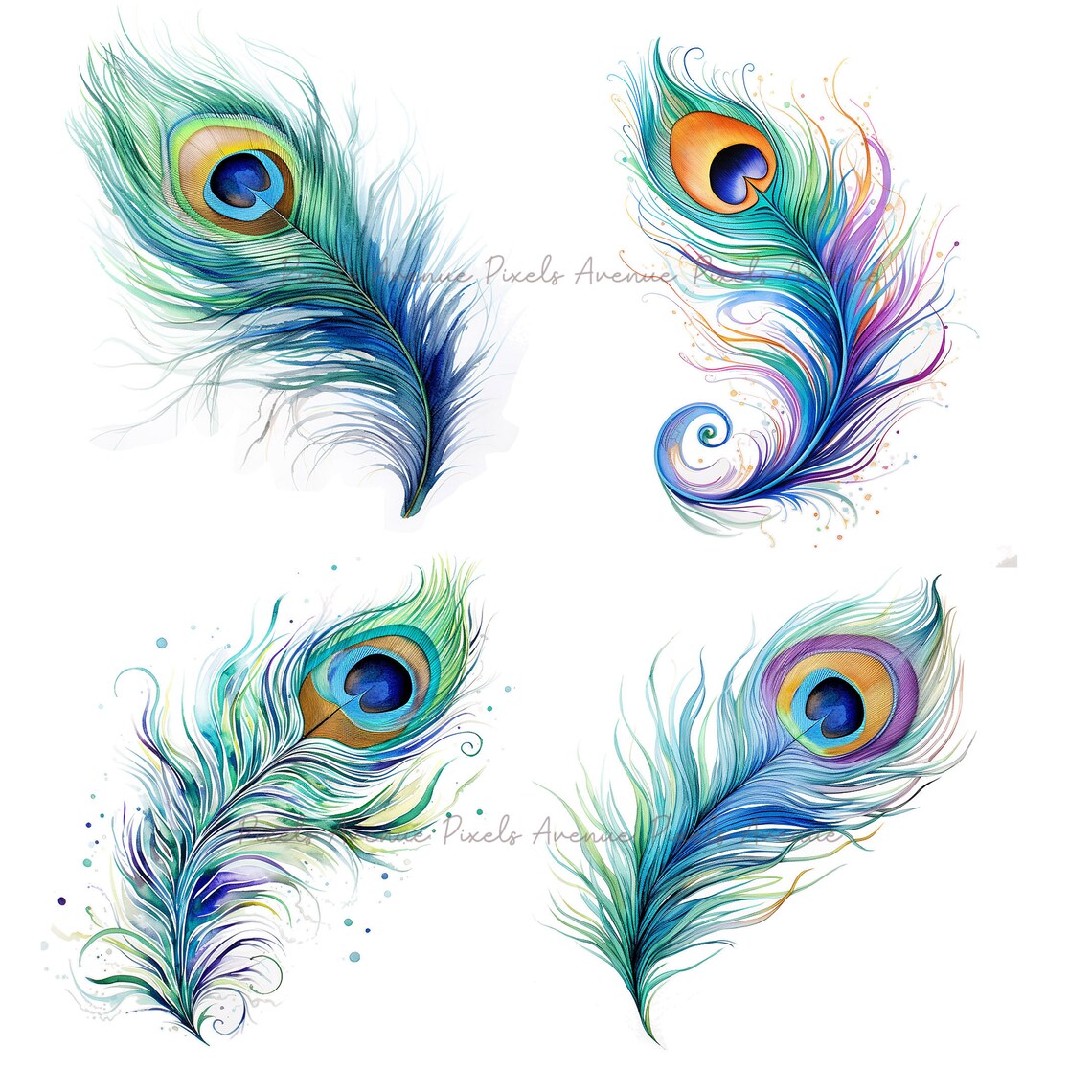 Peacock Feather Clip Art JPG Watercolor Birds Clipart - Etsy