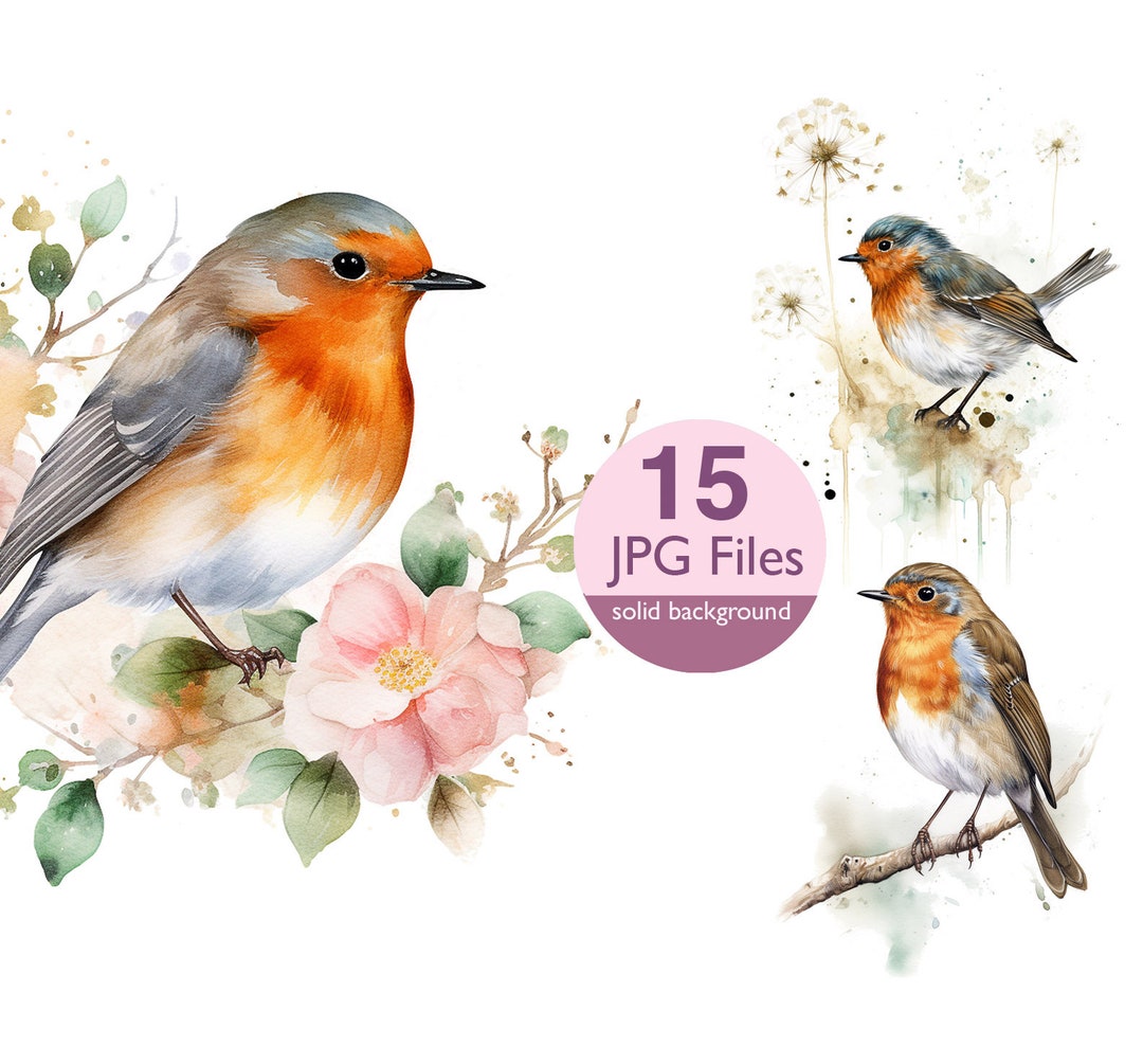 Bird Robin Clip Art, JPG Watercolor Birds Clipart, Paper Crafts ...