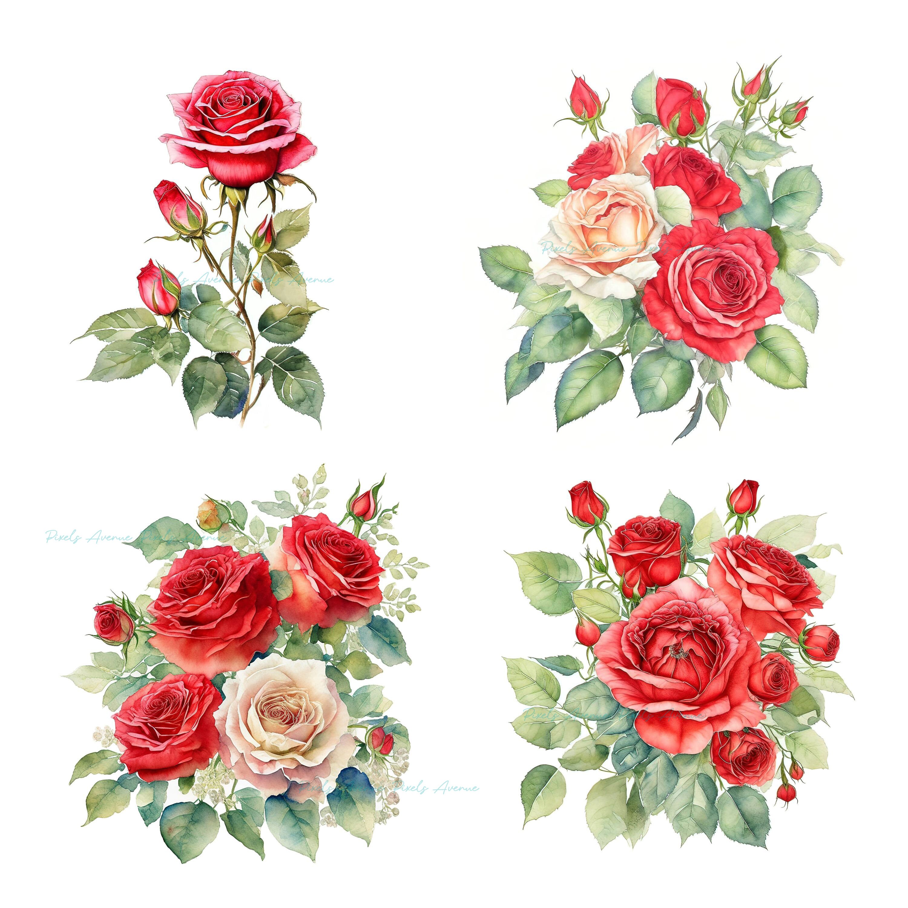 Watercolor Red Roses Clip Art JPG Floral Bouquet Rose - Etsy