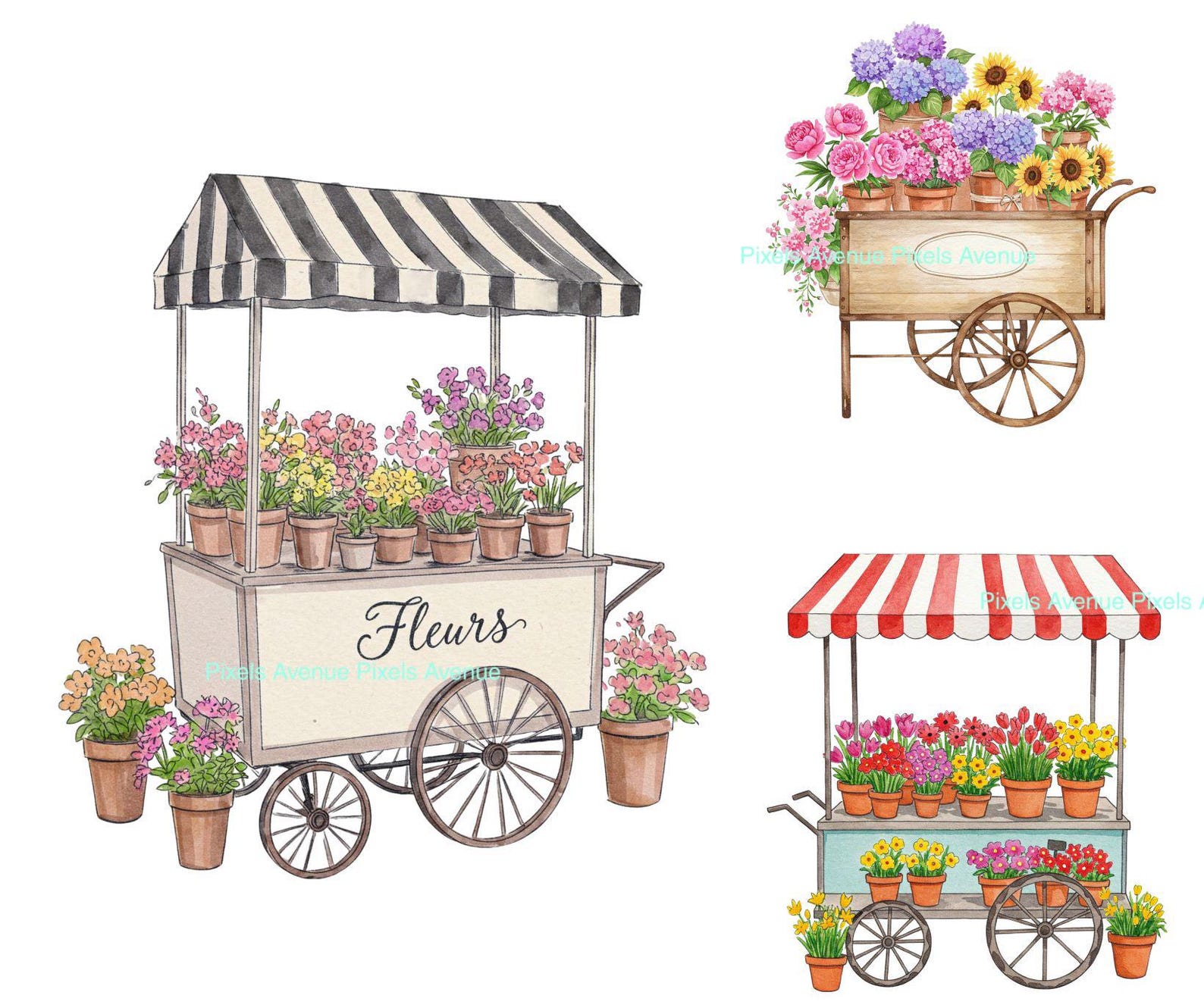 Watercolor Flower Cart Clipart: Spring Floral PNG (digital Art) - Etsy