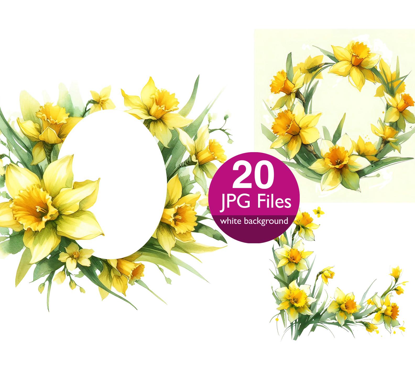 Daffodil Watercolor Clipart: Yellow Flower Frames (JPG) - Etsy