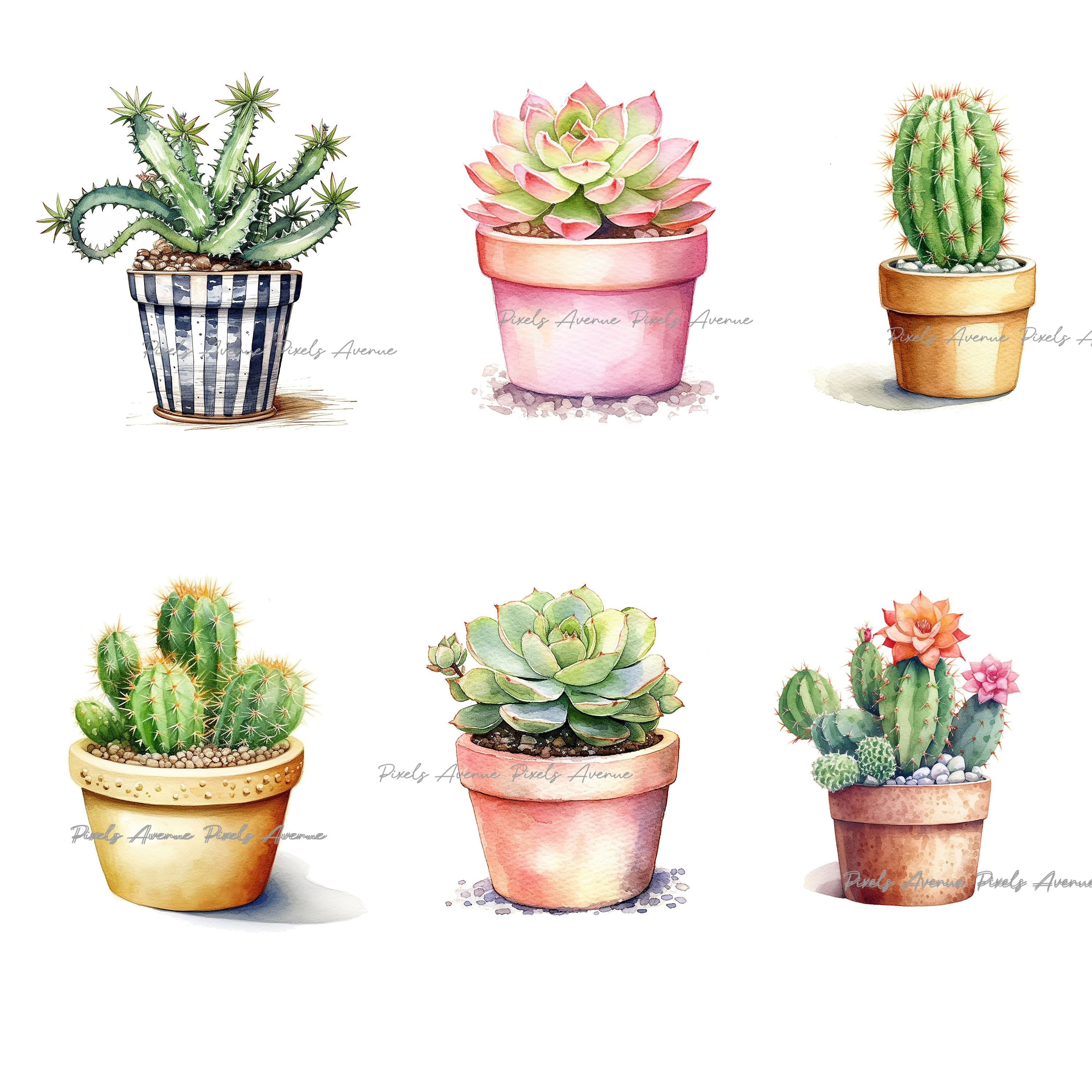 Watercolor Cactus Clip Art JPG Cacti Clipart House Plant - Etsy