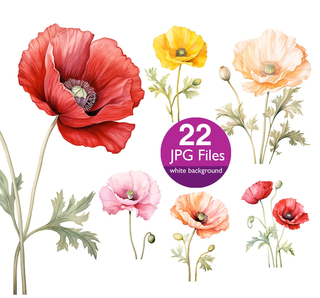 Watercolor Poppy Flower Clip Art, JPG Poppy Flowers With Stem Clipart ...