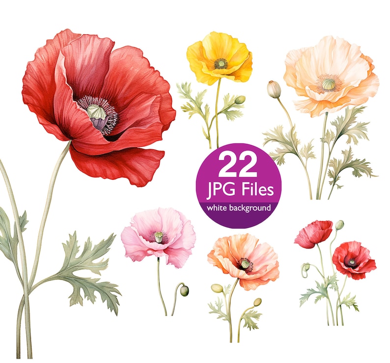 Watercolor Poppy Flower Clip Art, JPG Poppy Flowers With Stem Clipart ...