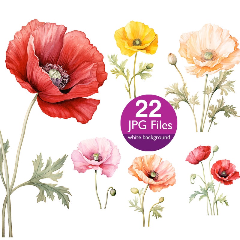 Poppies Clip Art - Etsy