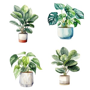 Indoor Plants Clip Art, JPG House Plant Watercolor Clipart, Greenery ...