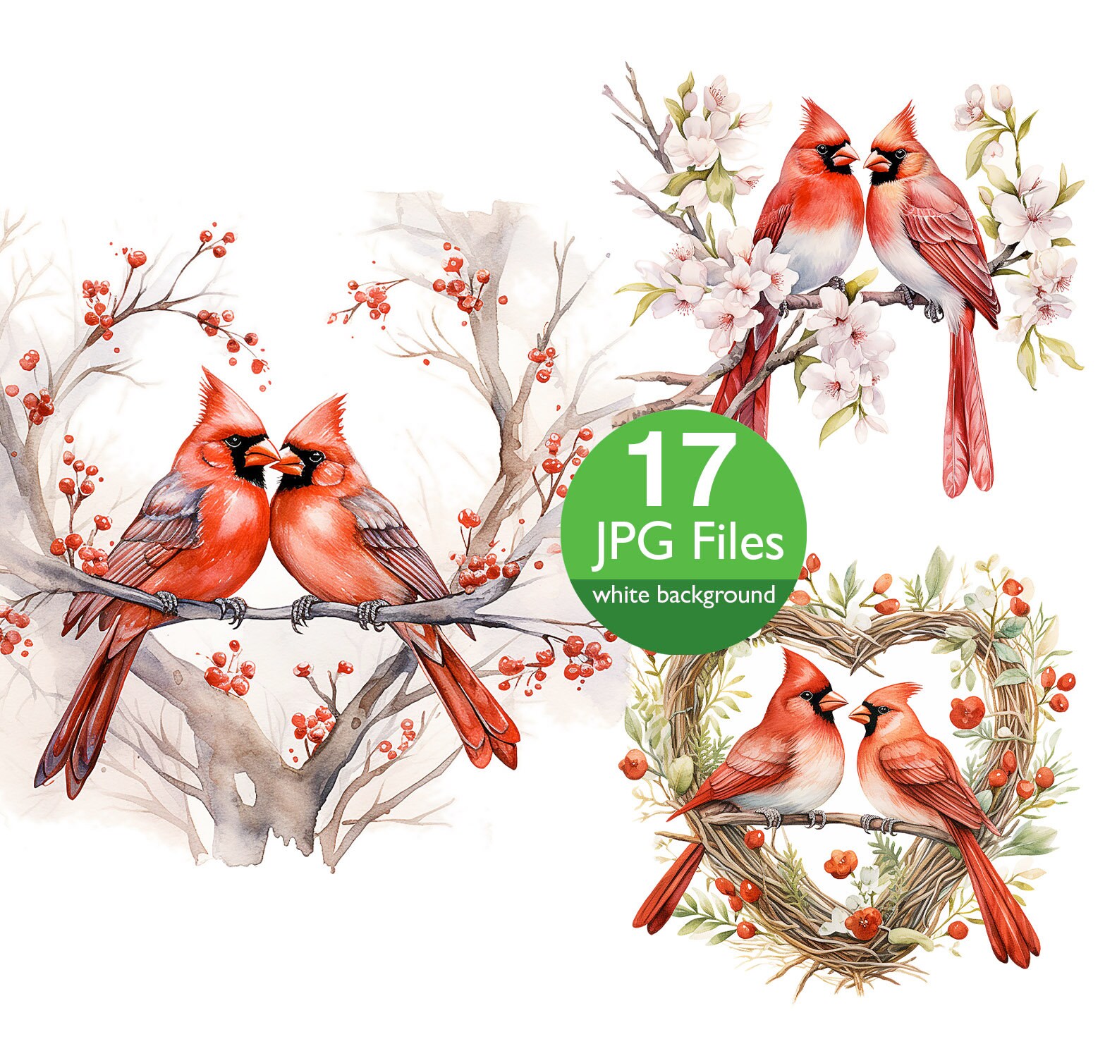 Red Cardinal Clip Art Clip Art JPG Watercolor Clipartred - Etsy